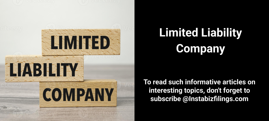 What is a Limited Liability Company?