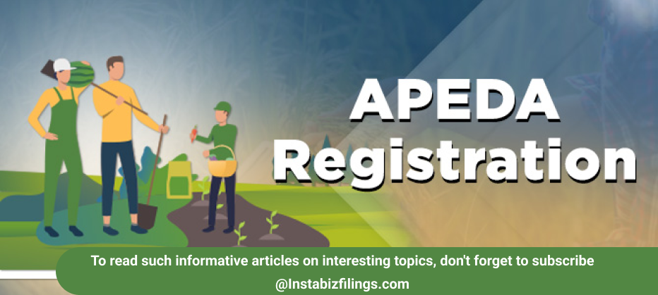 Steps to Complete Your APEDA Registration