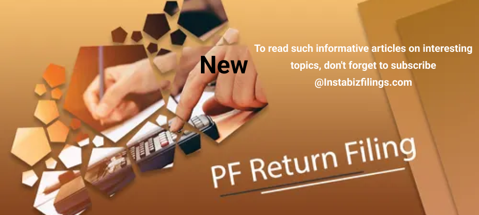 Step-by-Step Guide to PF Return Filing