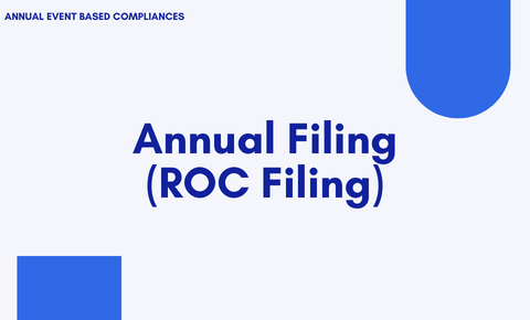 One Person Company - OPC Annual Filings Return | Instabiz Filings